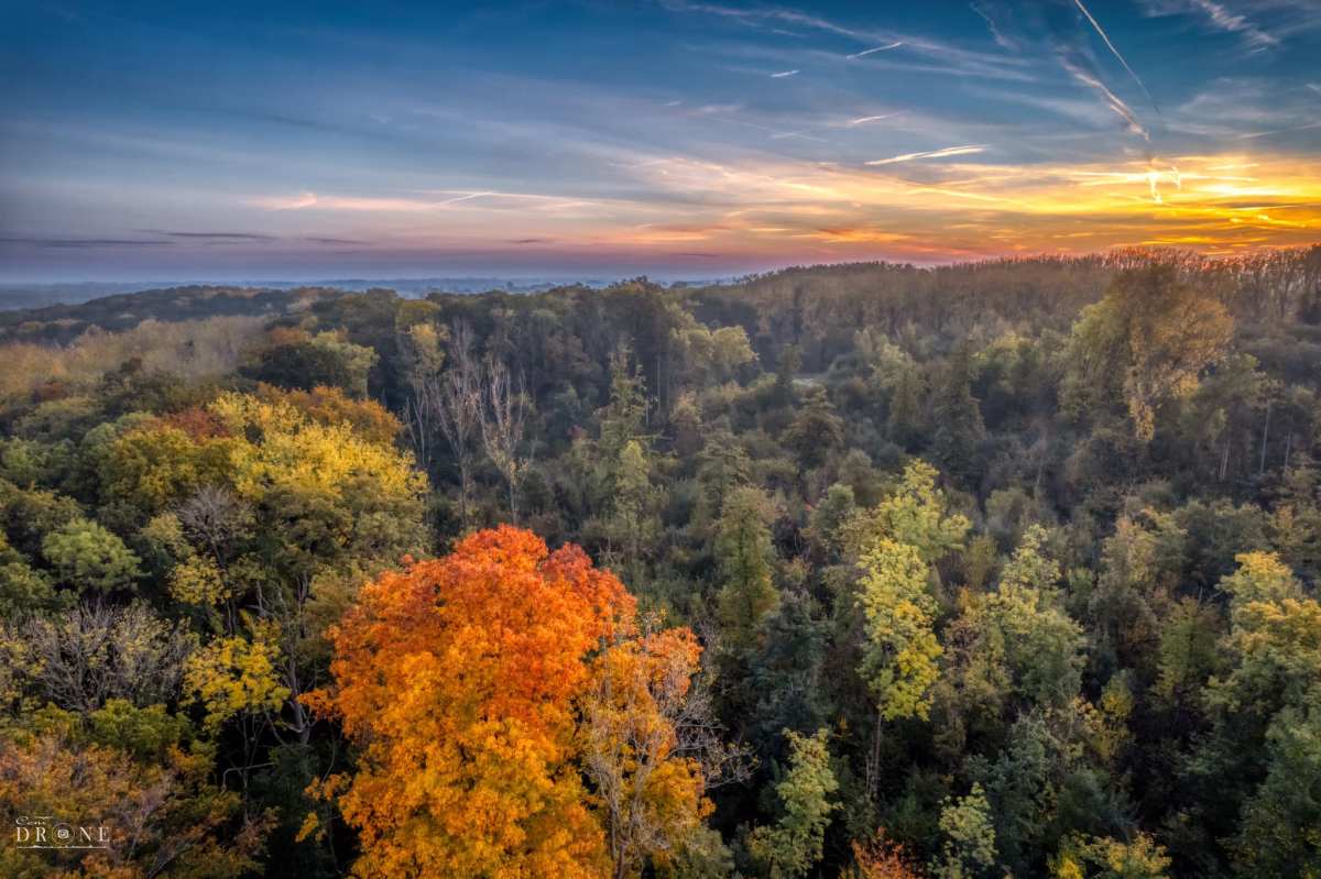 Herfst in het Bos t’Ename – Ename, mijn dorp.