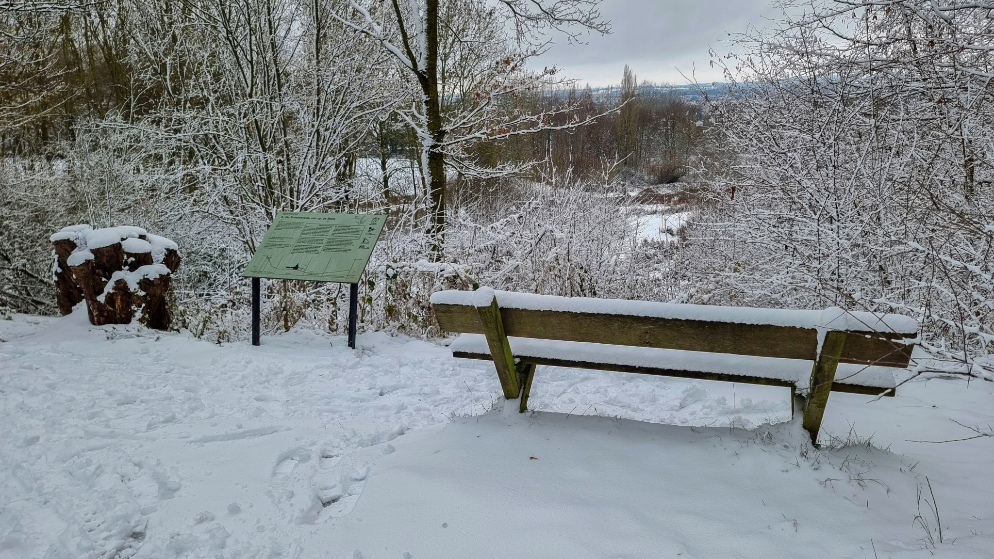 Bos en dorp, Ename in de winter van 2026 – Ename, mijn dorp.